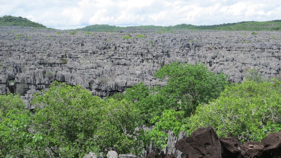 Madagascar dry forest confirmed as World Heritage Site - CAJ News Africa