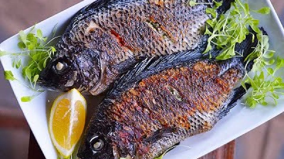 How to prepare the bream, Kariba’s best dish for tourists - CAJ News Africa